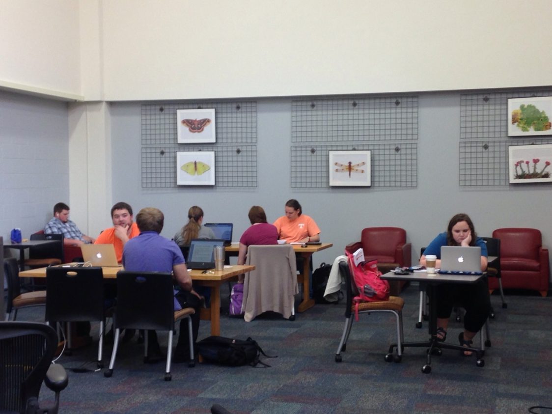 Gearing Up for Finals? Top 5 Places to Study in Pendergrass