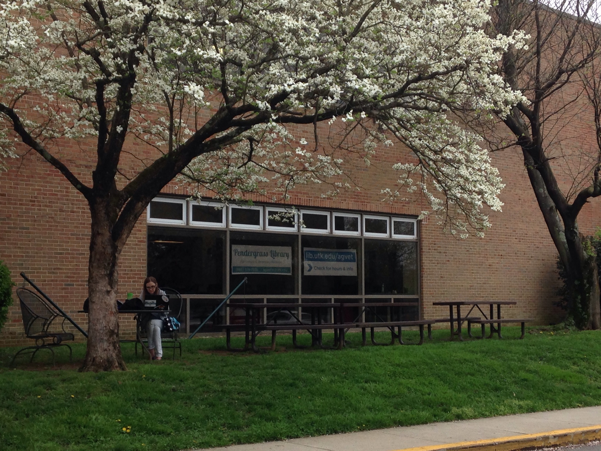 Gearing Up for Finals? Top 5 Places to Study in Pendergrass