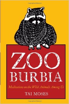 Relax this Summer with Pendergrass Library Leisure Reading