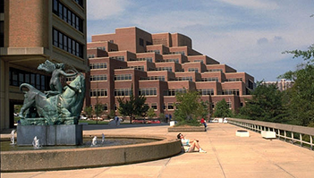 Hodges Library is 30 Years Old -- Let's Celebrate!