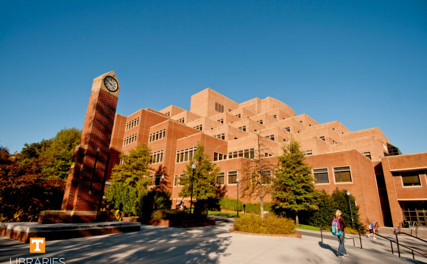 This Year's Scholarship Winner