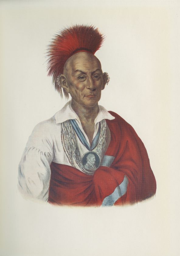 First Edition of Black Hawk in UT Special Collections