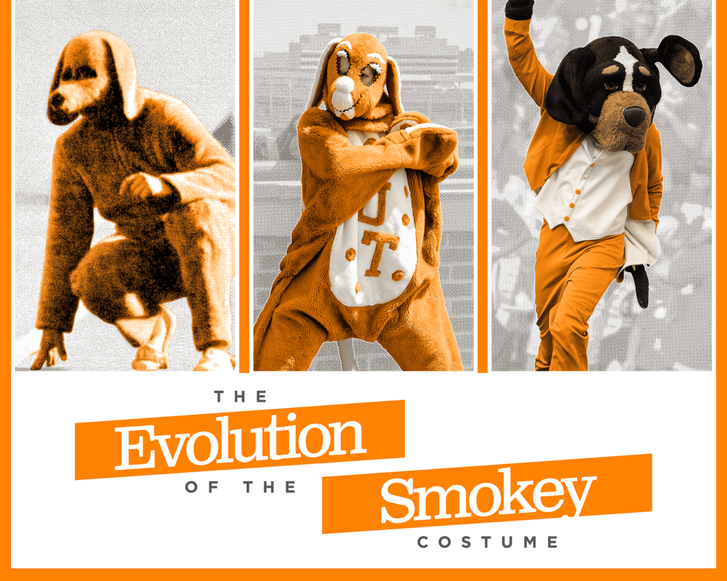 Evolution of Smokey Mascot Through the Years